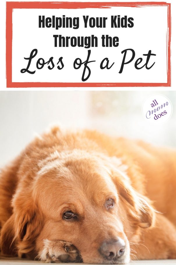 Helping Kids Through the Death of a Pet | AllMomDoes