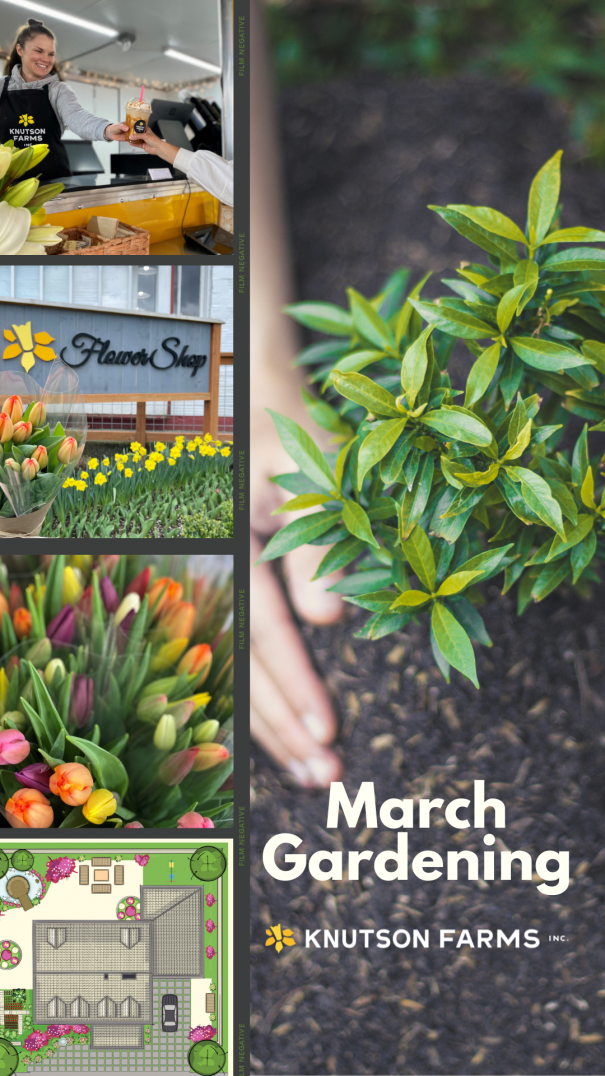 March Gardening | AllMomDoes