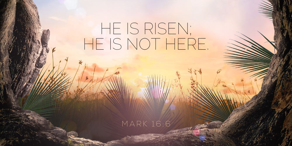 We Don’t Do the Easter Bunny And Here’s Why | AllMomDoes