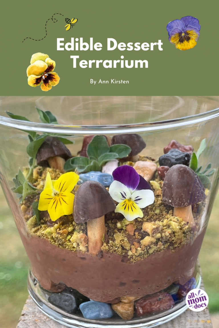 Edible Dessert Terrarium | AllMomDoes