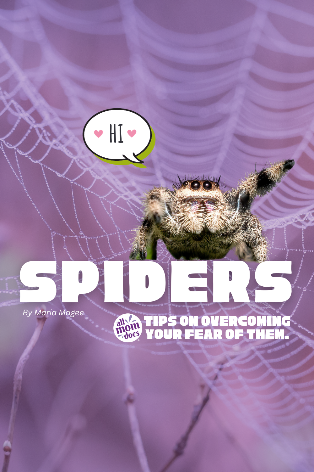 Afraid of Spiders? | AllMomDoes